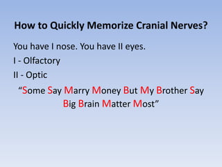 Cranial nerves 8 | PPTX