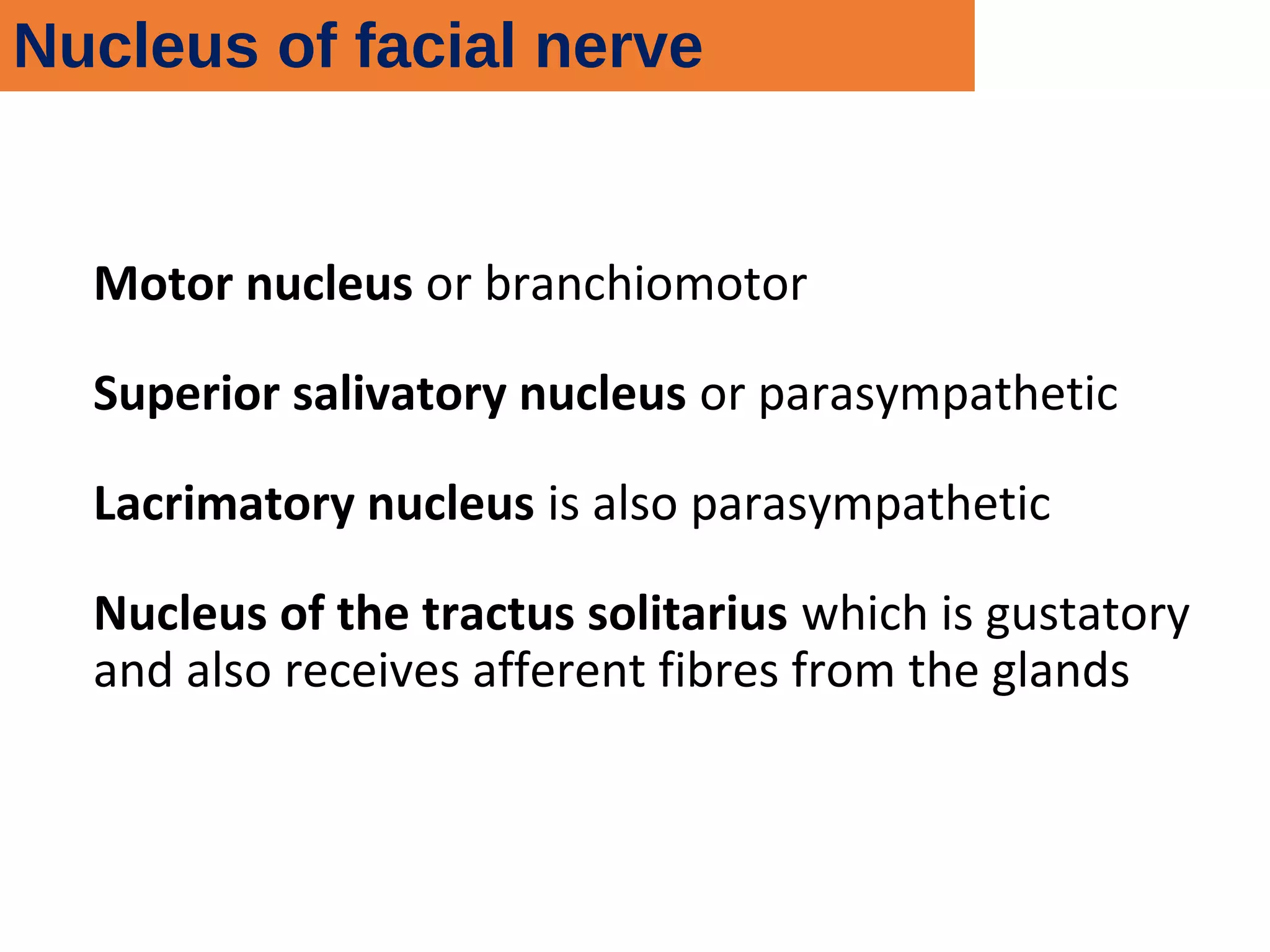 The Cranial Nerves : at a glance | PPT