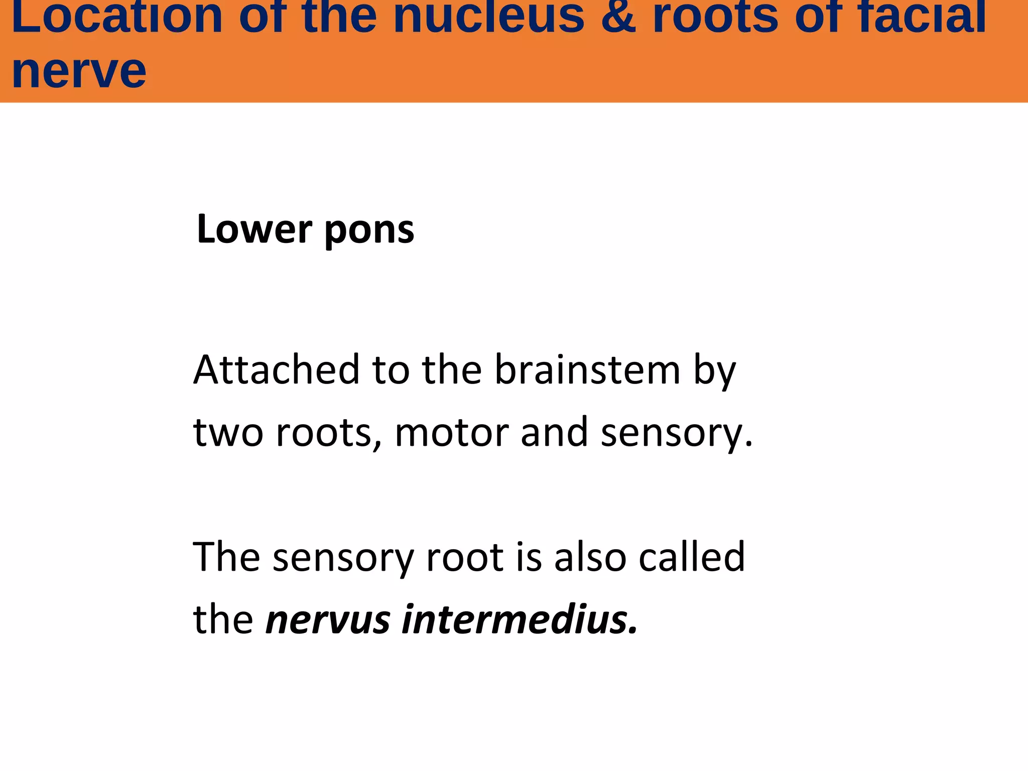 The Cranial Nerves : at a glance | PPT
