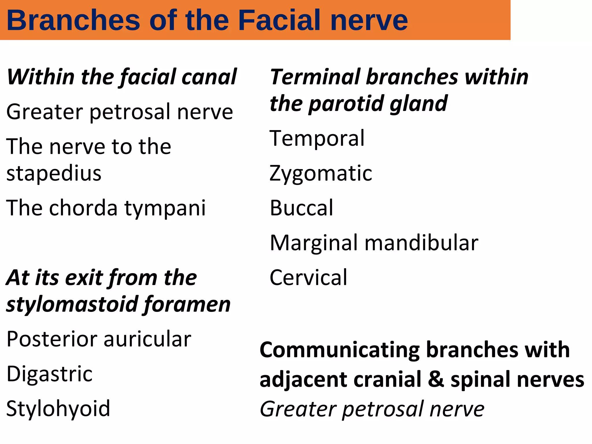 The Cranial Nerves : at a glance | PPT