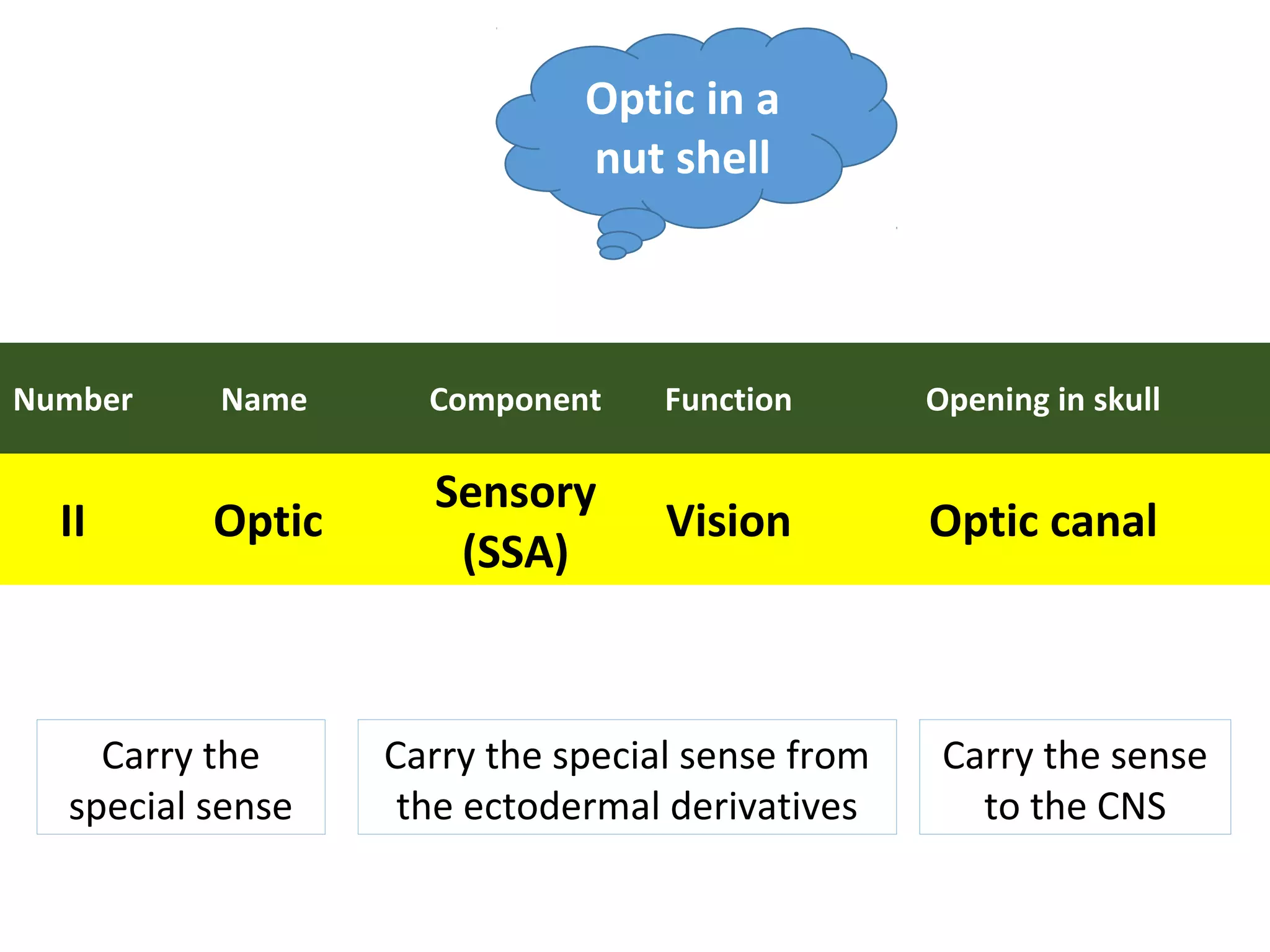 The Cranial Nerves : at a glance | PPT