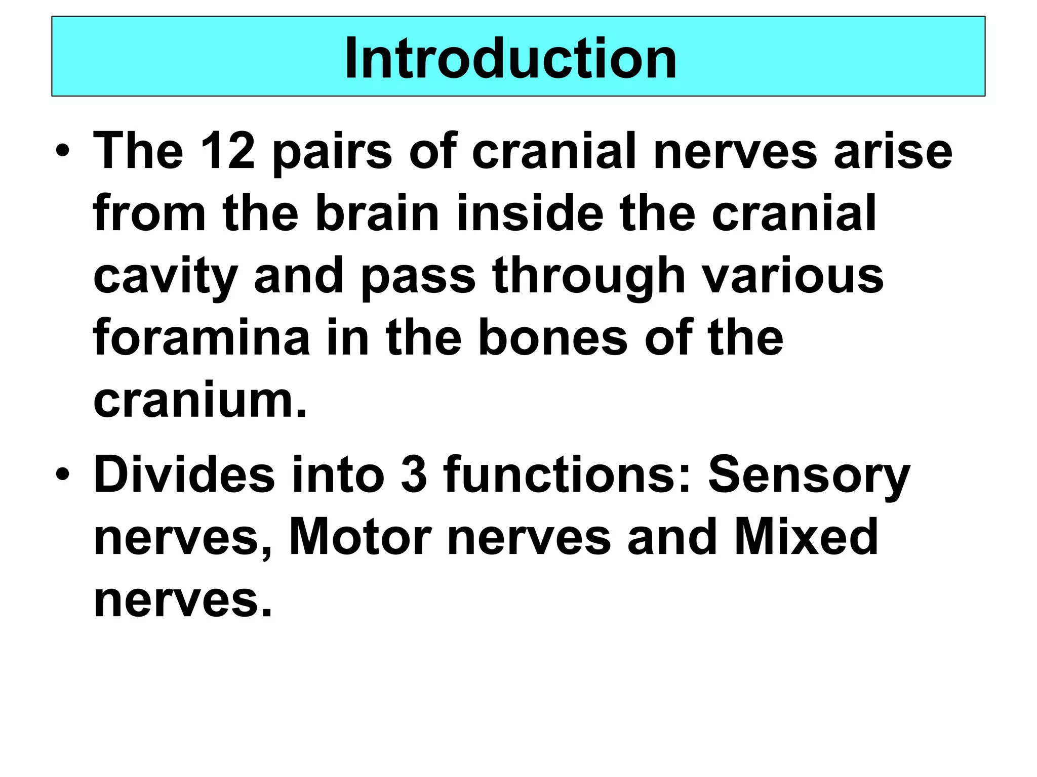CRANIAL NERVES-OVERVIEW.pptx