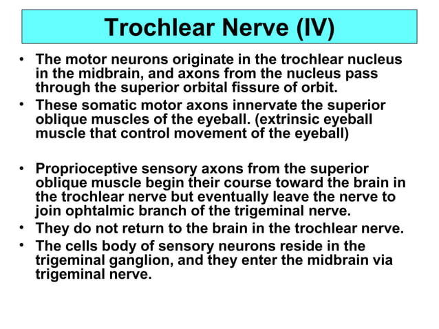 CRANIAL NERVES-OVERVIEW.pptx