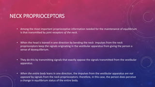 CRANIAL NERVES 01.pptx
