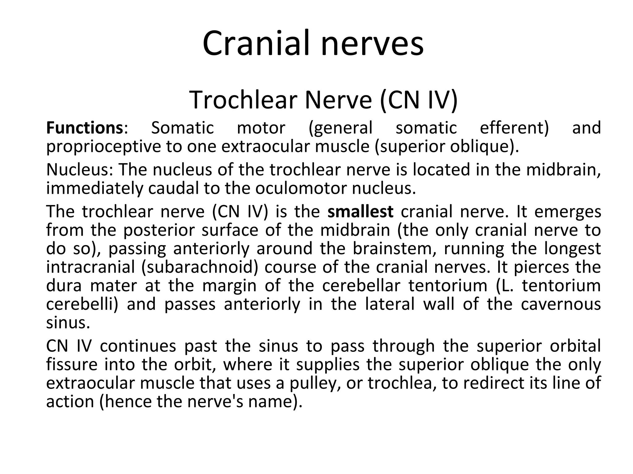 Cranial nerves | PPT