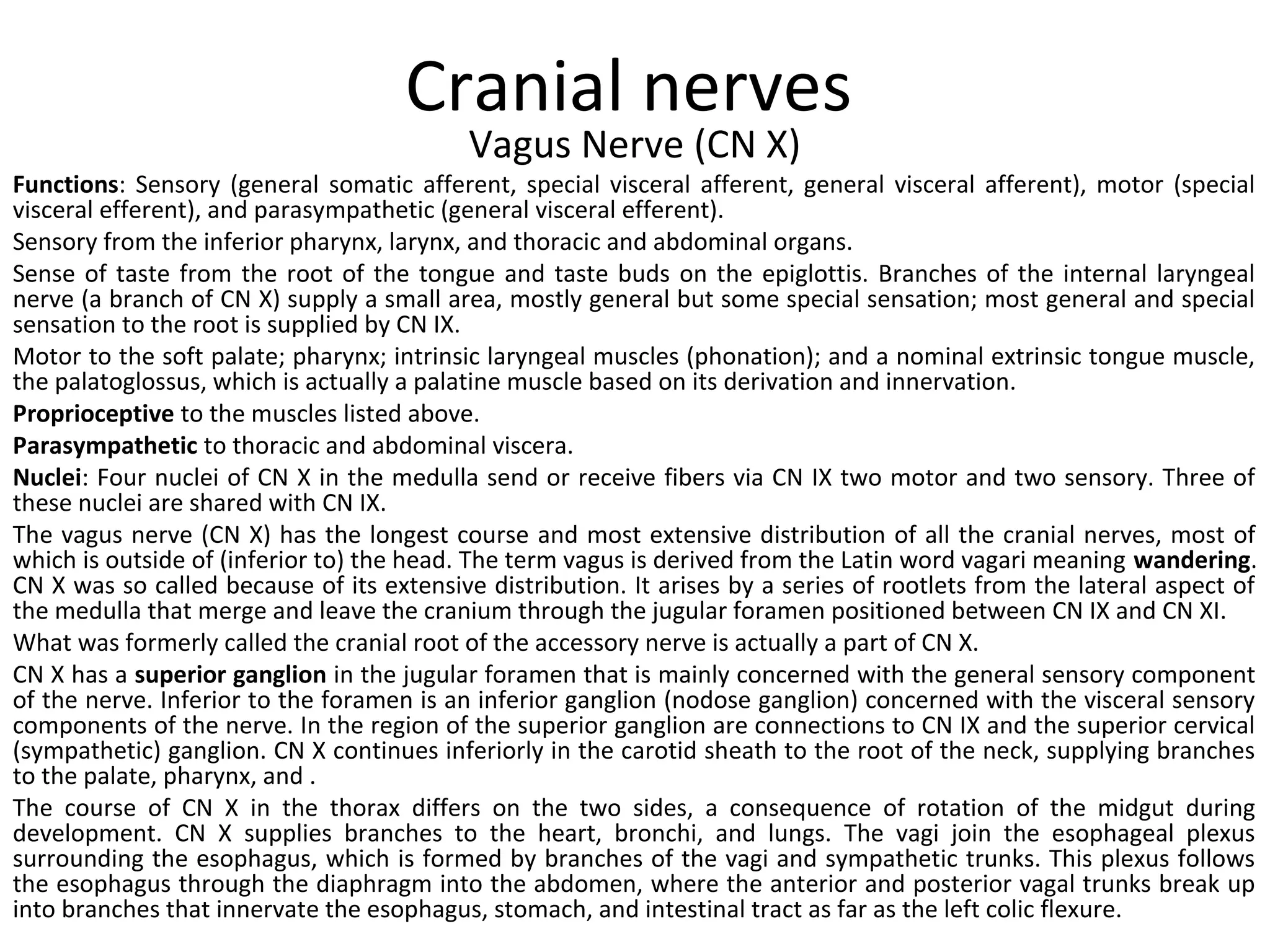 Cranial nerves | PPT