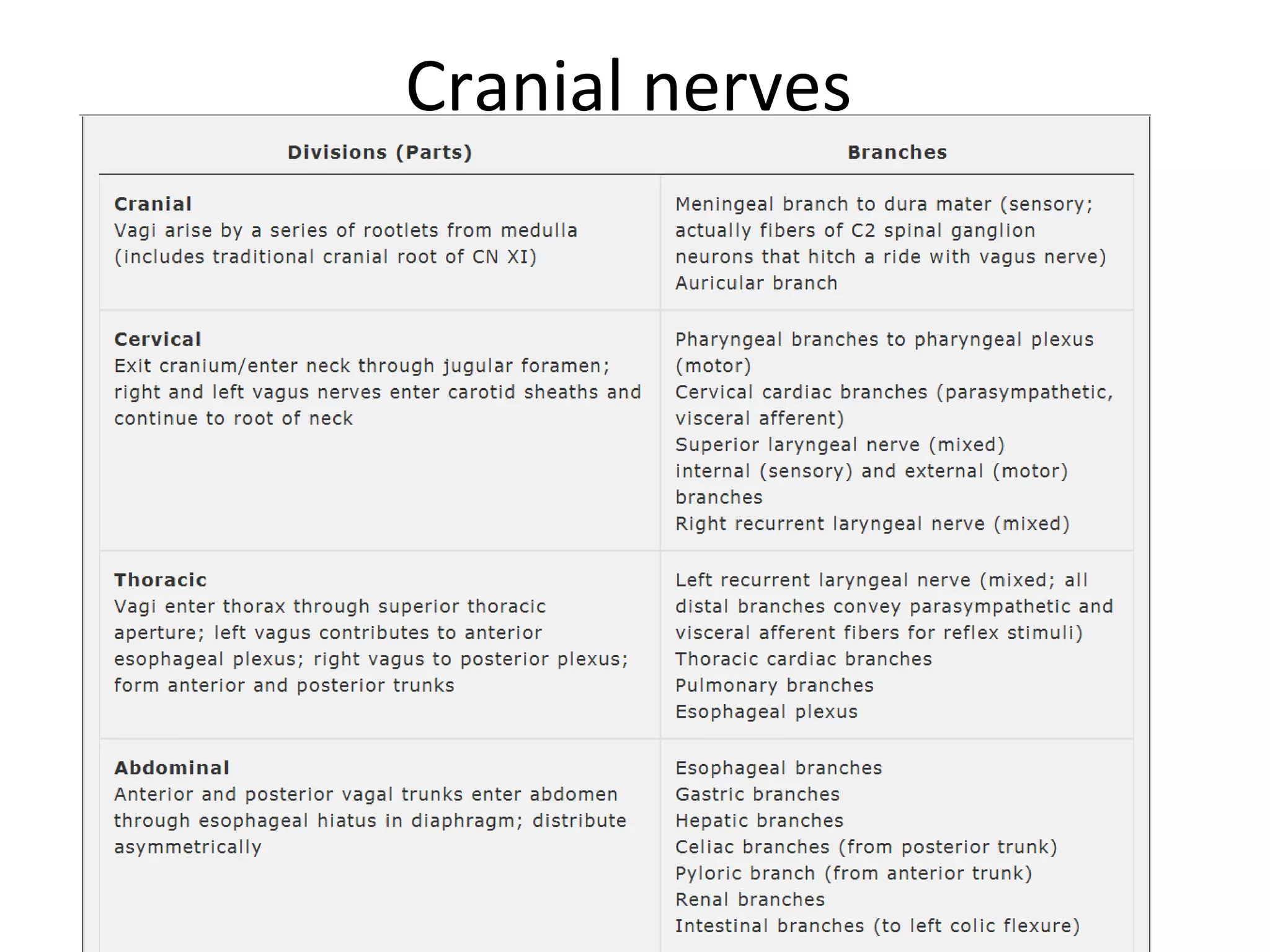 Cranial nerves | PPT
