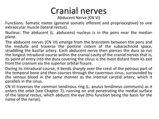 Cranial nerves | PPT