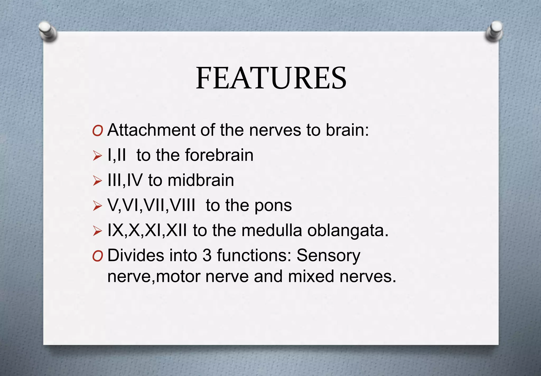 CRANIAL NERVES 1.pptx