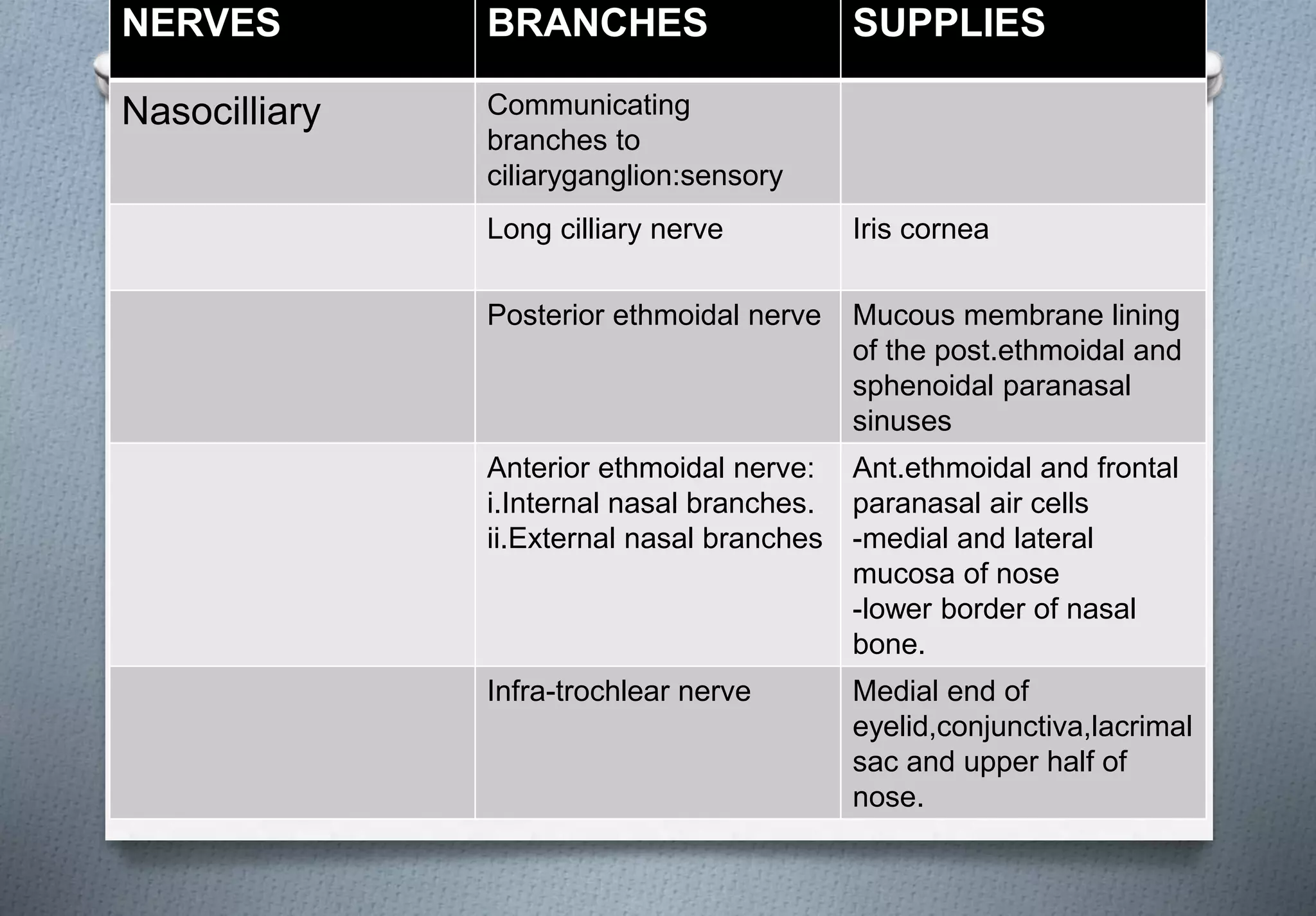 CRANIAL NERVES 1.pptx