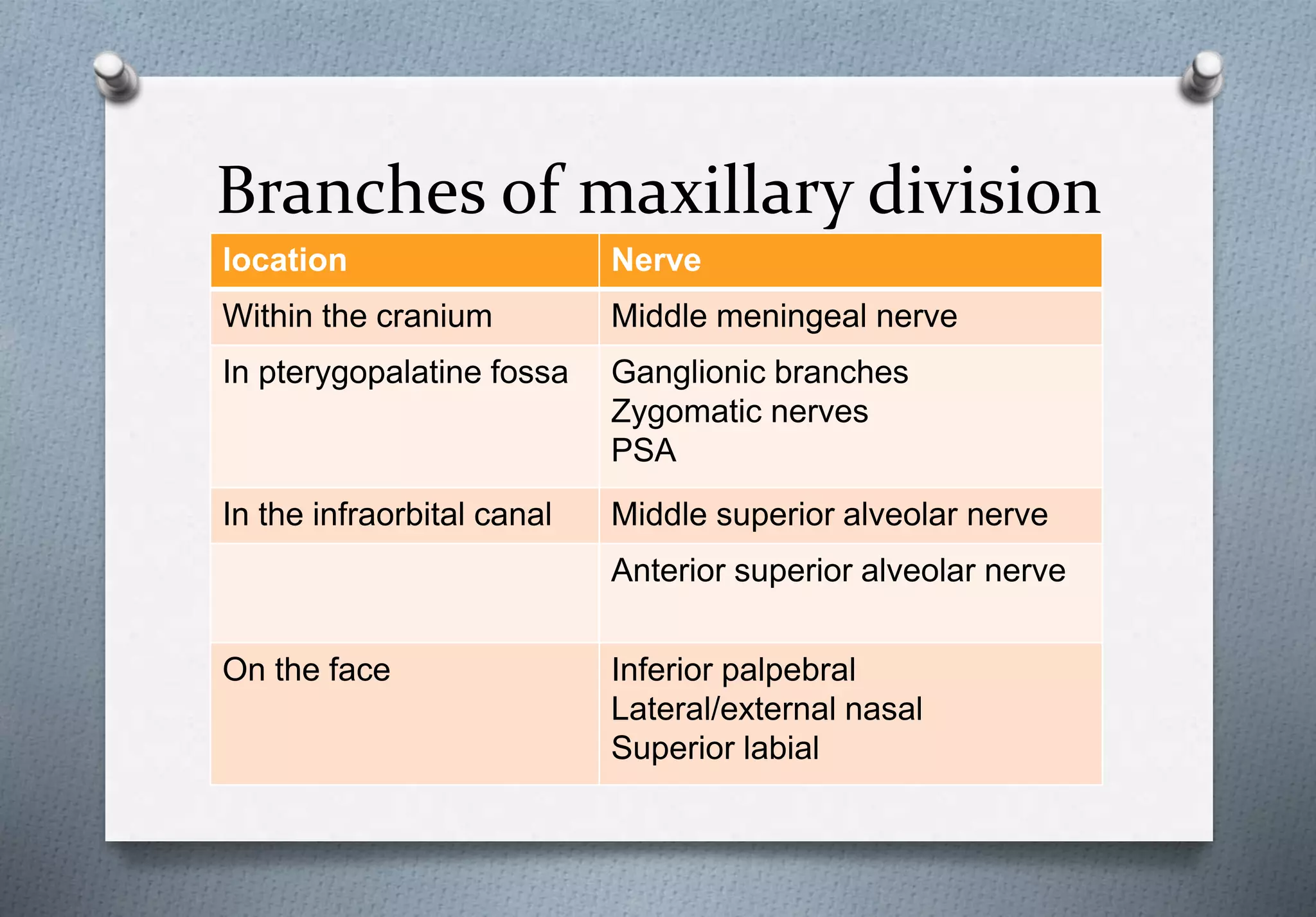 CRANIAL NERVES 1.pptx