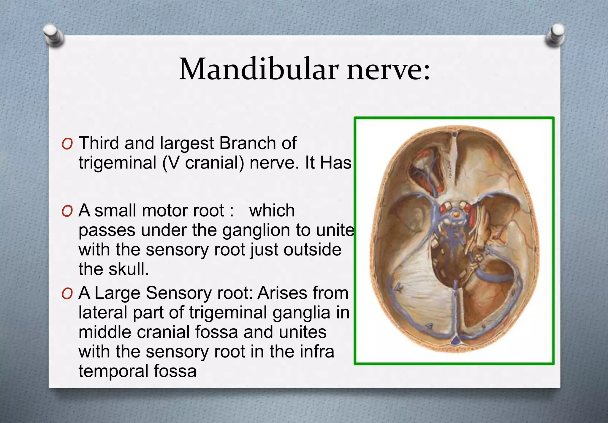 CRANIAL NERVES 1.pptx