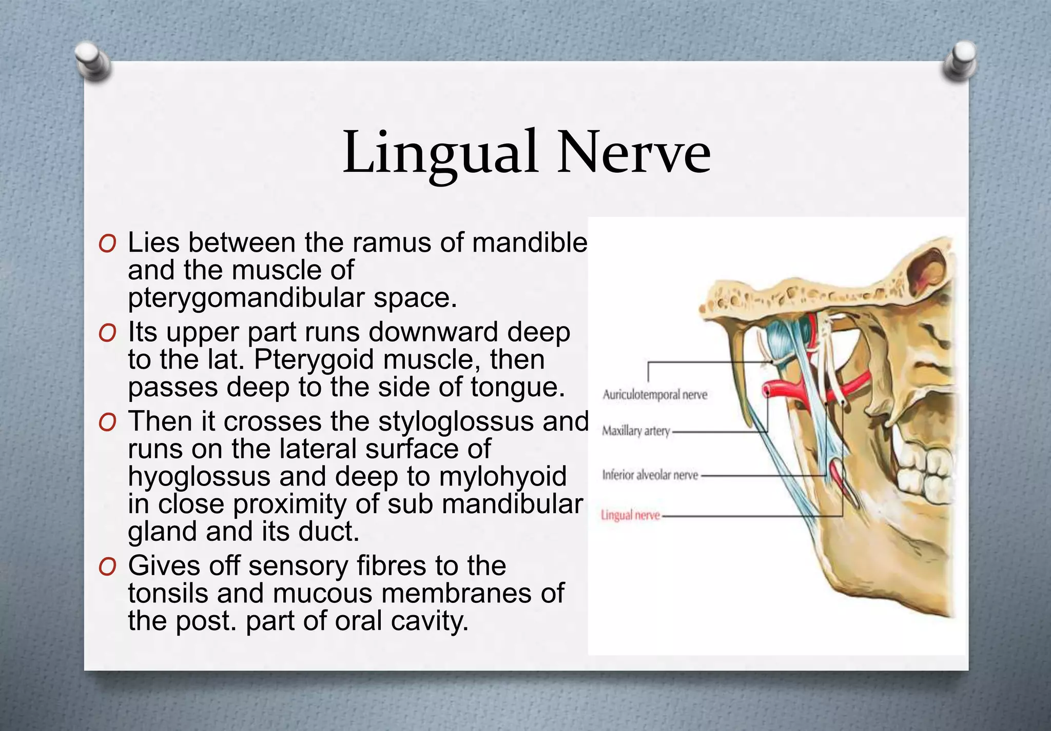 CRANIAL NERVES 1.pptx