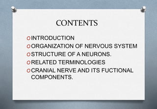 Ppt Chapter 15 Cranial Nerves Powerpoint Presentation