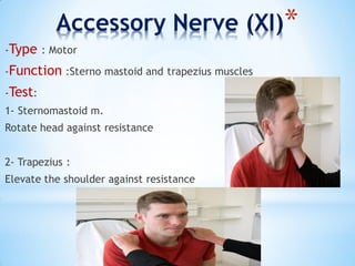 CRANIAL NERVE EXAMINATION By Dr/ Gehad Khaled | PDF