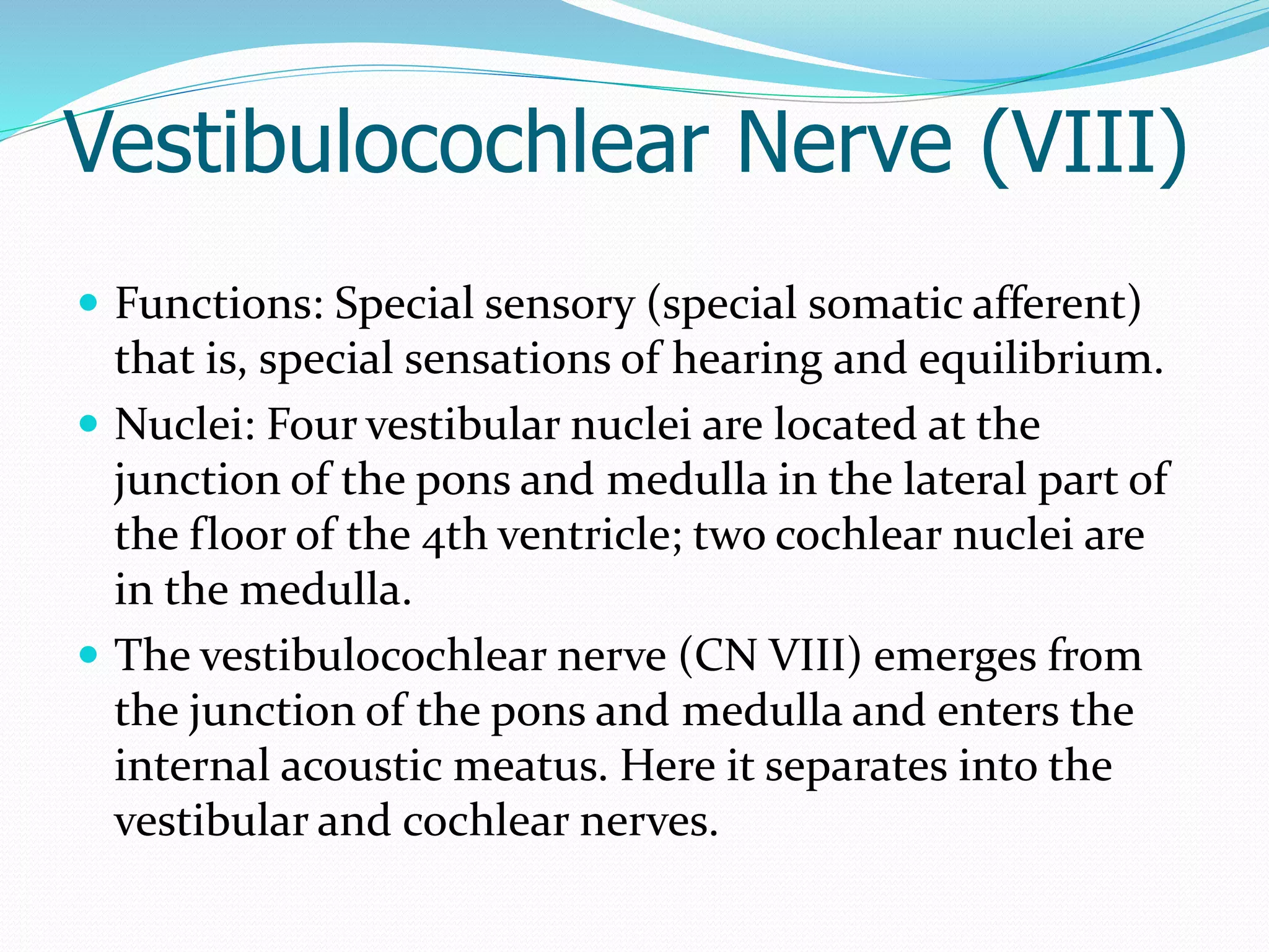 The Cranial nerves | PPTX
