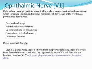The Cranial nerves | PPTX