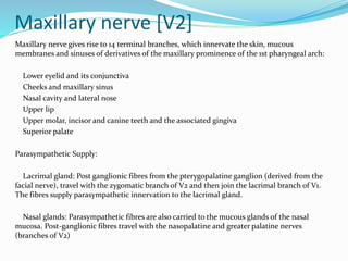 The Cranial nerves | PPTX
