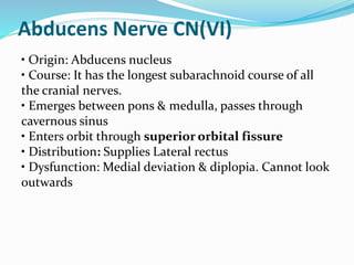 The Cranial nerves | PPTX