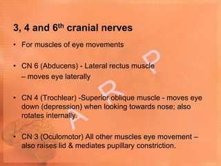 Cranial nerves 2 | PPTX | Death, Injury, or Military Conflict ...