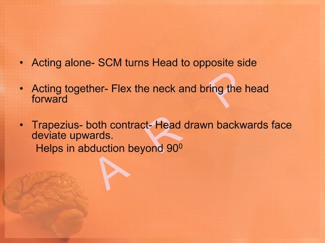 Cranial nerves 2 | PPT