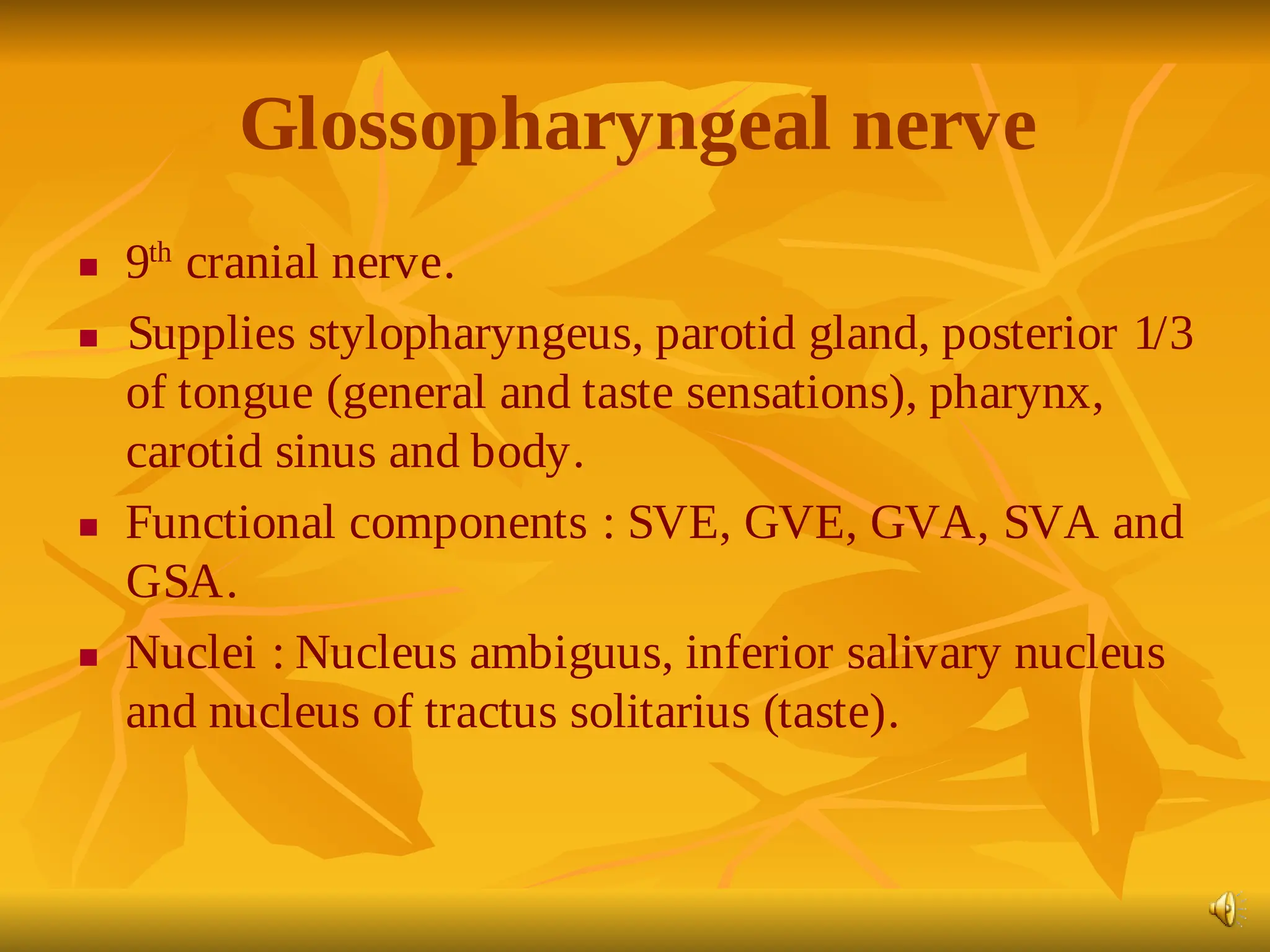 Cranial_nerves2.pdf cranial nerve presentation | PDF