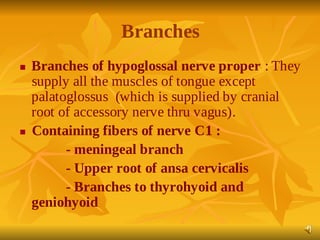 Cranial_nerves2.pdf cranial nerve presentation | PDF