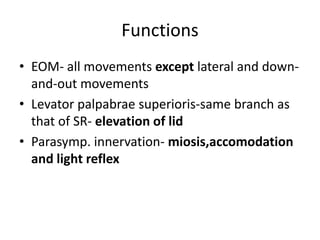 Cranial nerves 3,4,6-Neuroradioology | PPTX