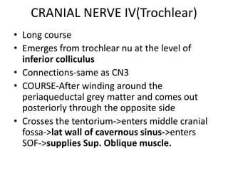 Cranial nerves 3,4,6-Neuroradioology | PPTX