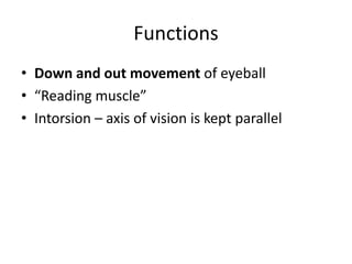 Cranial nerves 3,4,6-Neuroradioology | PPTX