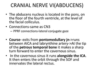 Cranial nerves 3,4,6-Neuroradioology | PPTX
