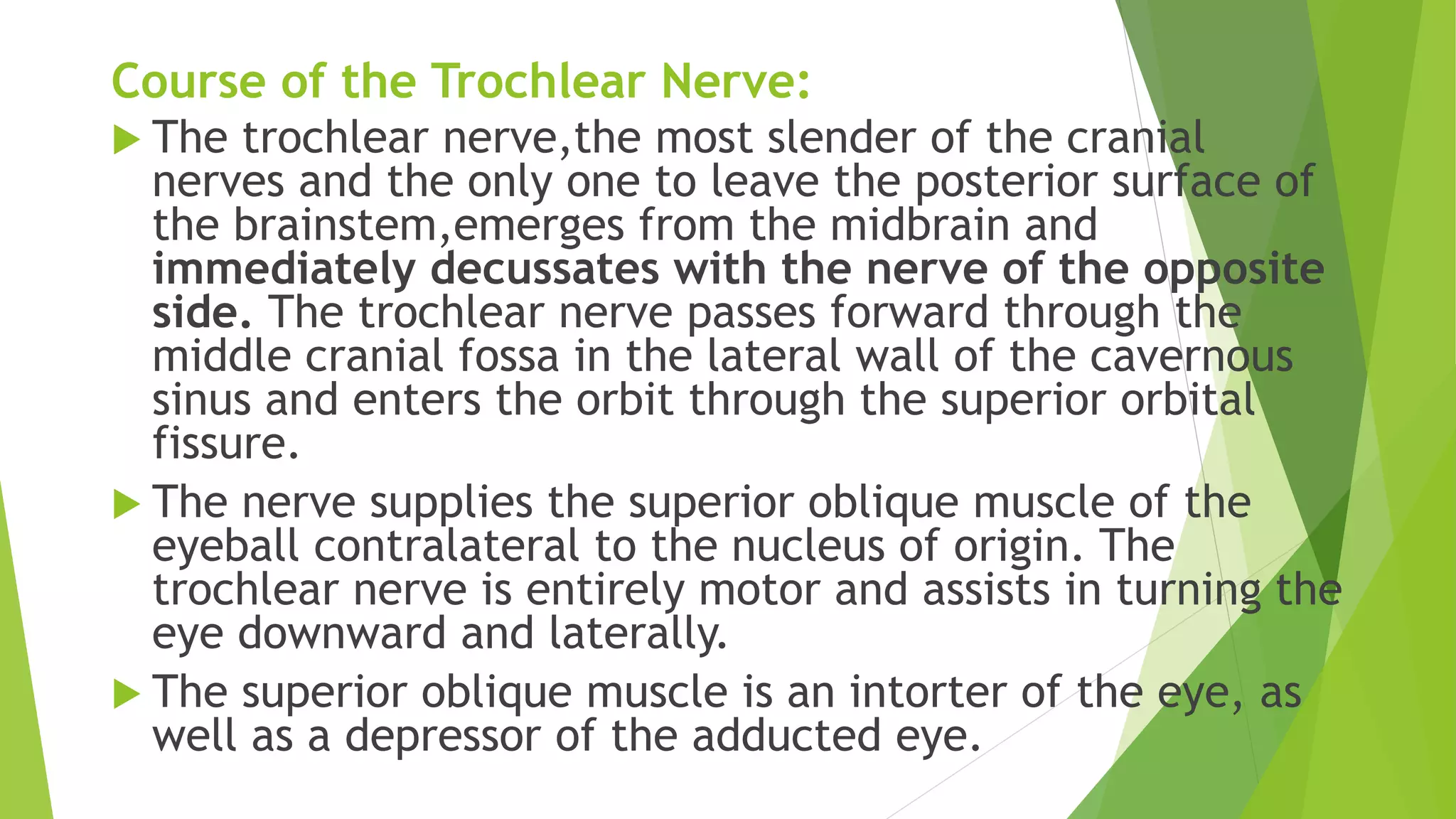 Cranial nerves 346 | PPTX