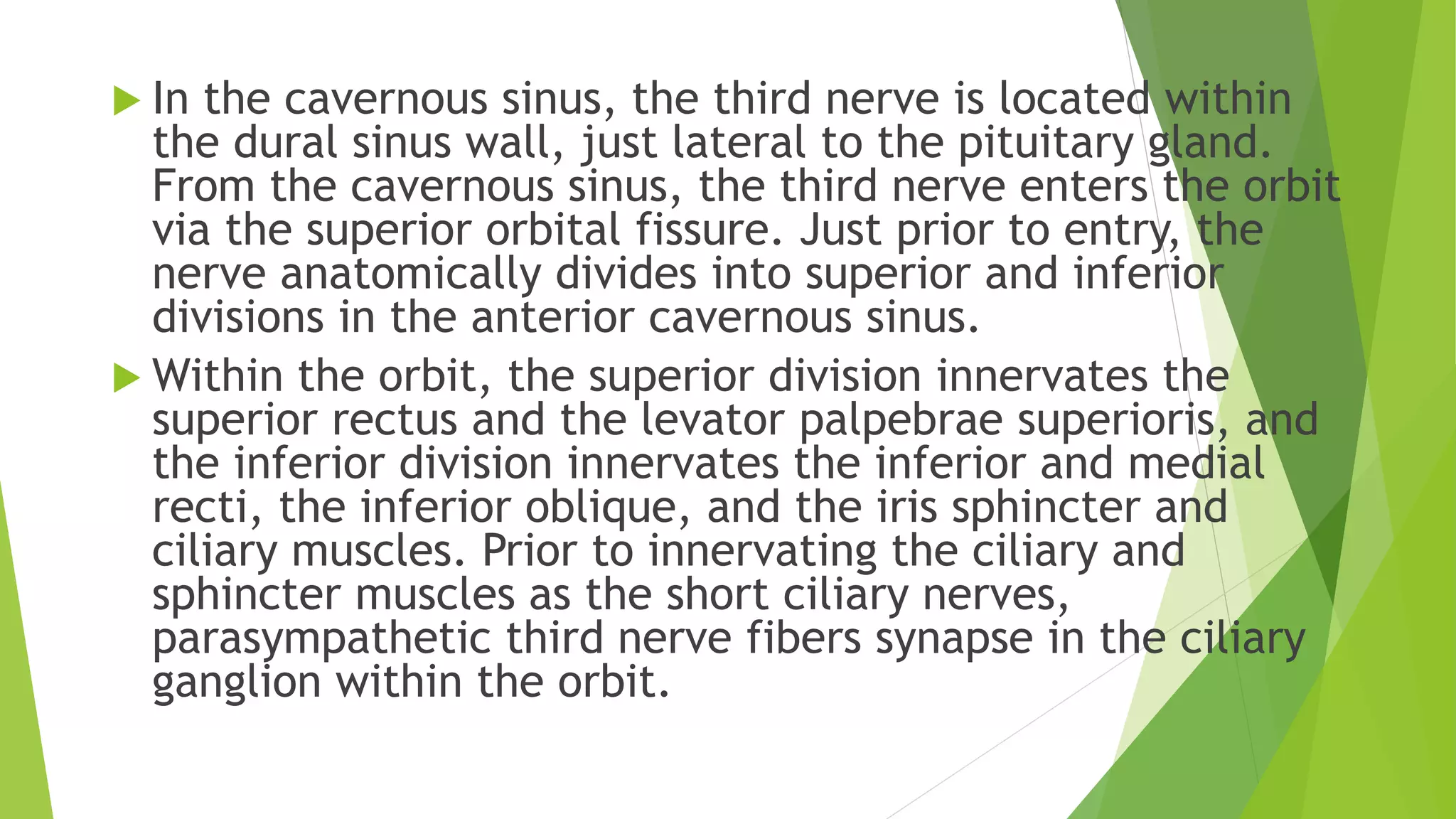 3rd, 4th and 6th Cranial nerves | PPTX