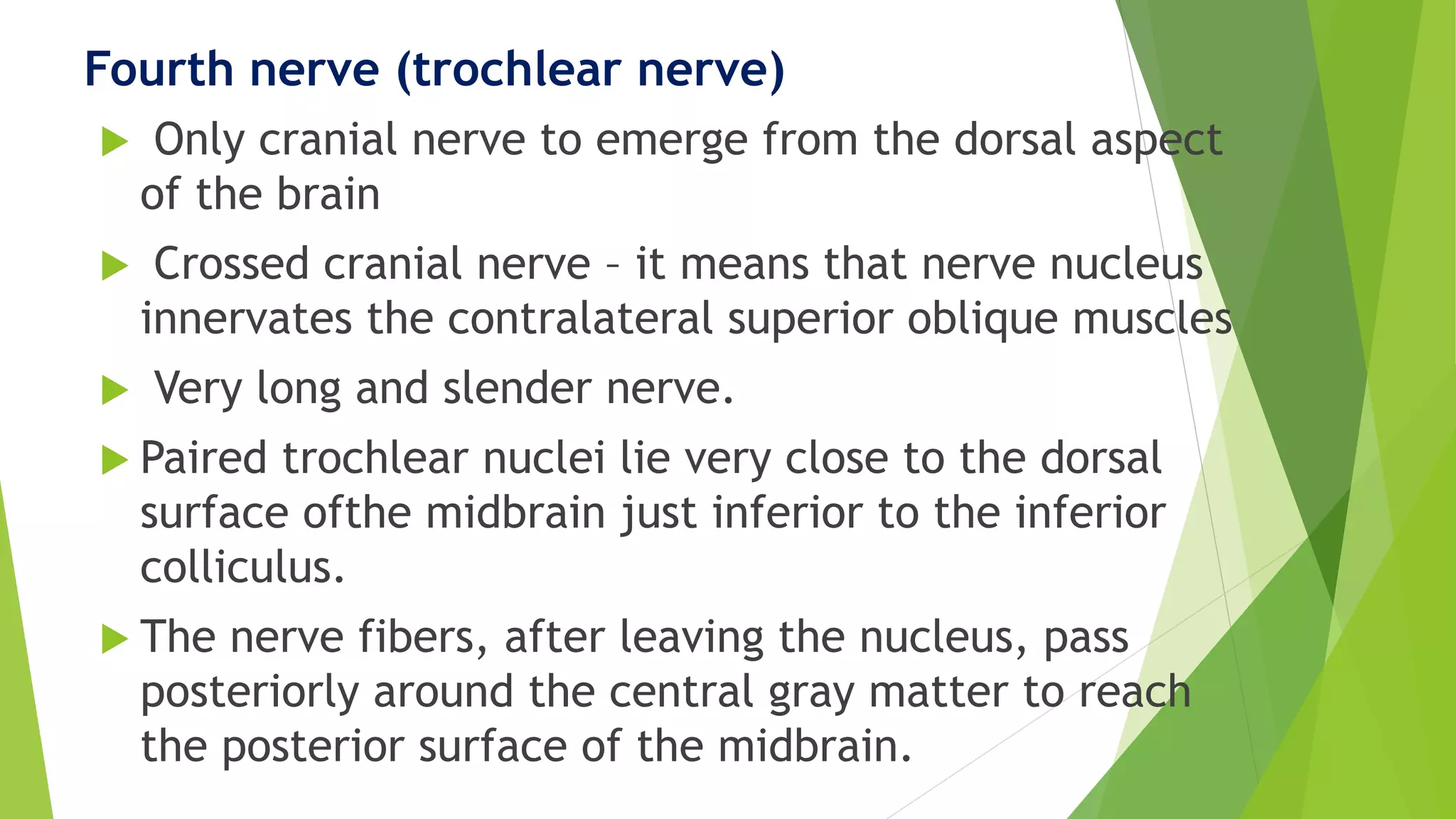 3rd, 4th and 6th Cranial nerves | PPTX