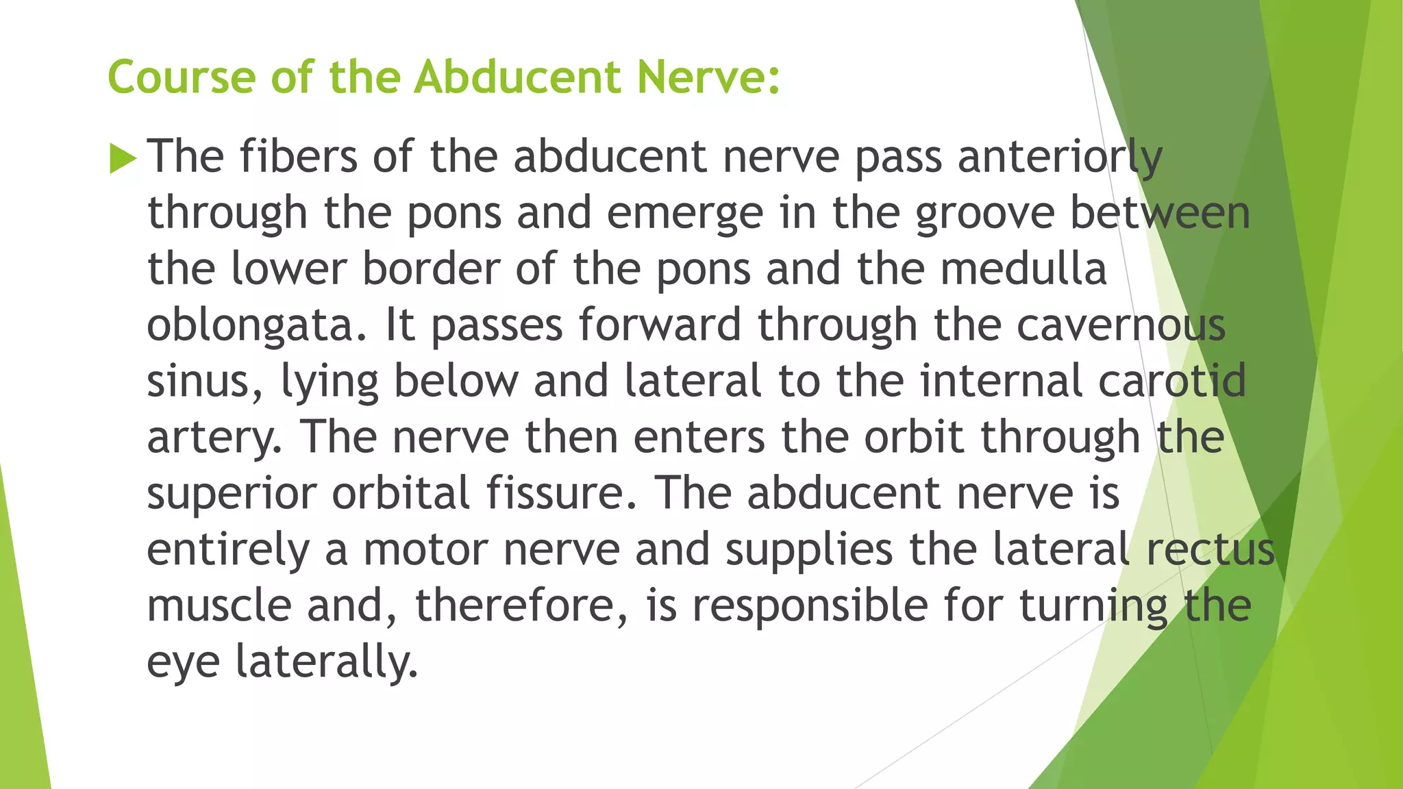 3rd, 4th and 6th Cranial nerves | PPTX