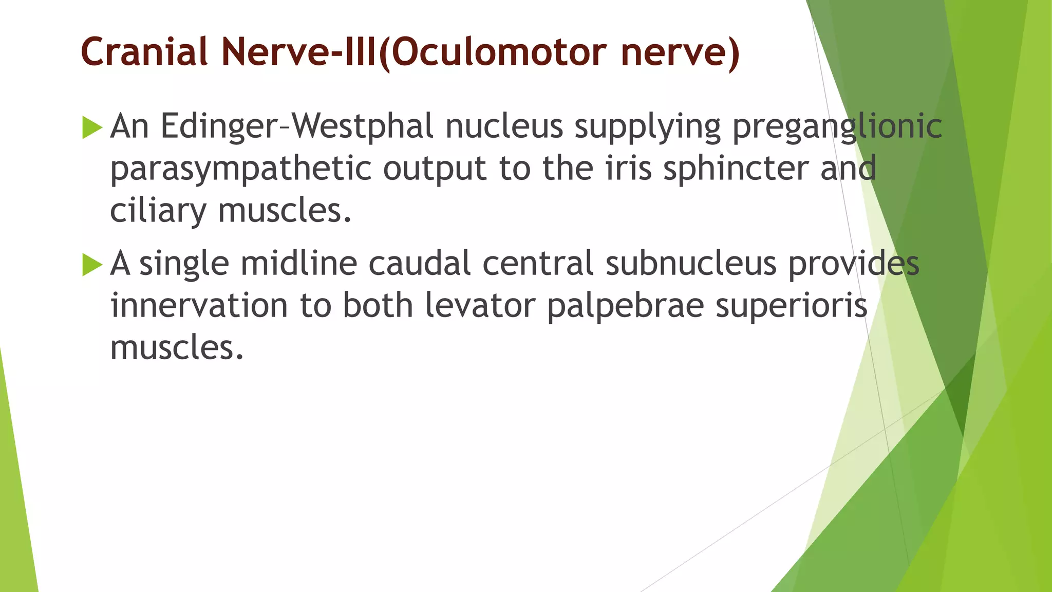 3rd, 4th and 6th Cranial nerves | PPTX