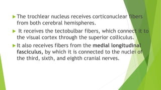 3rd, 4th and 6th Cranial nerves | PPTX