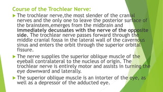 3rd, 4th and 6th Cranial nerves | PPTX