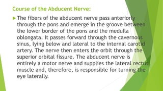 3rd, 4th and 6th Cranial nerves | PPTX