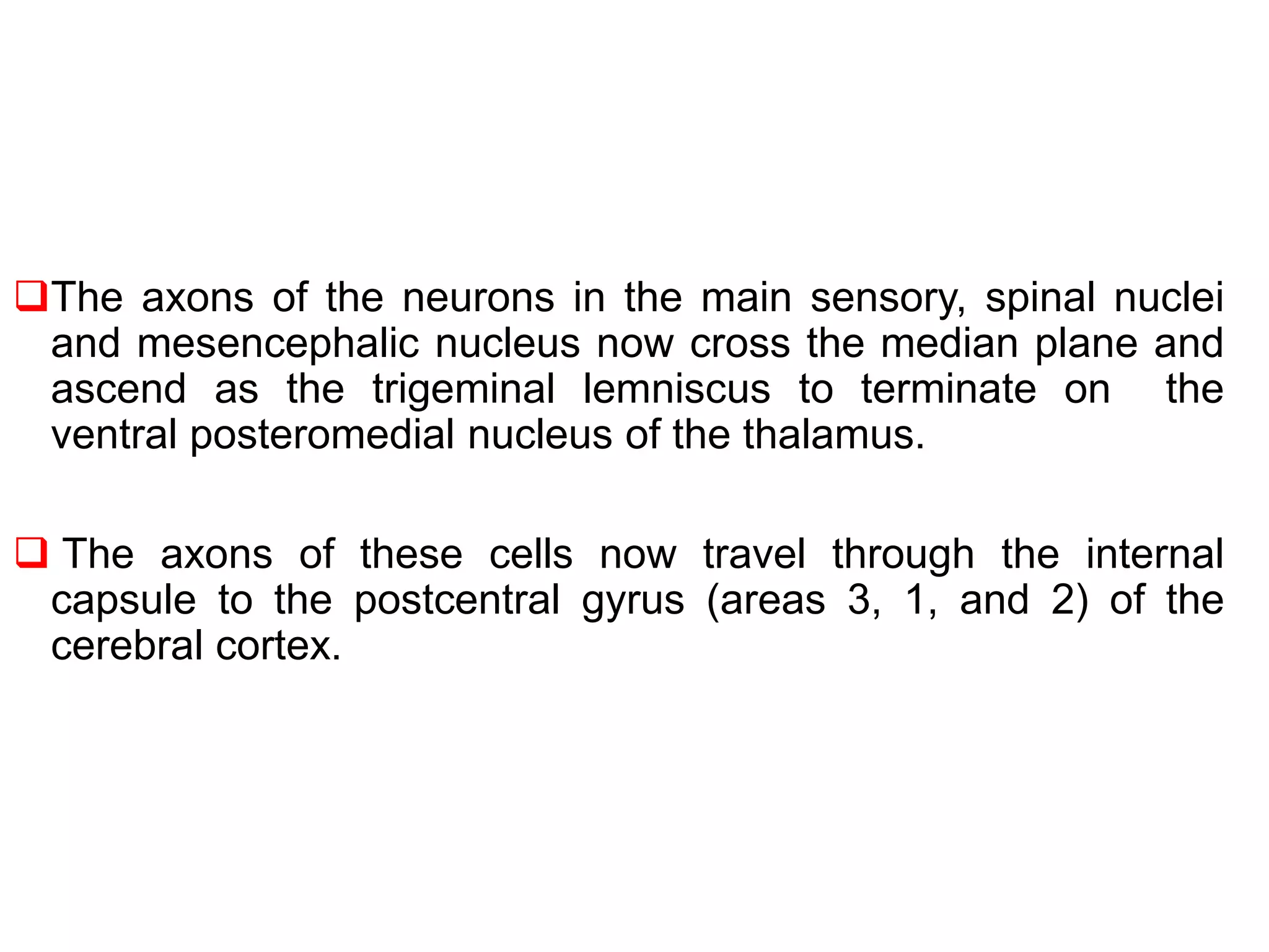 Cranial Nerves 5,7,8.ppt