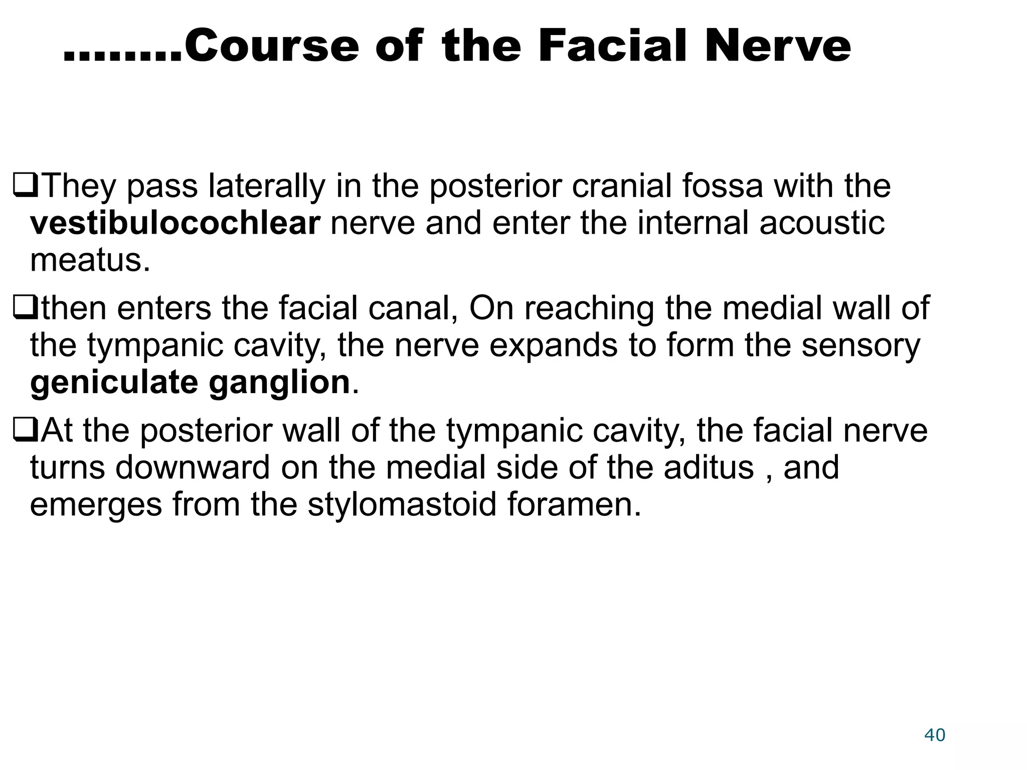 Cranial Nerves 5,7,8.ppt