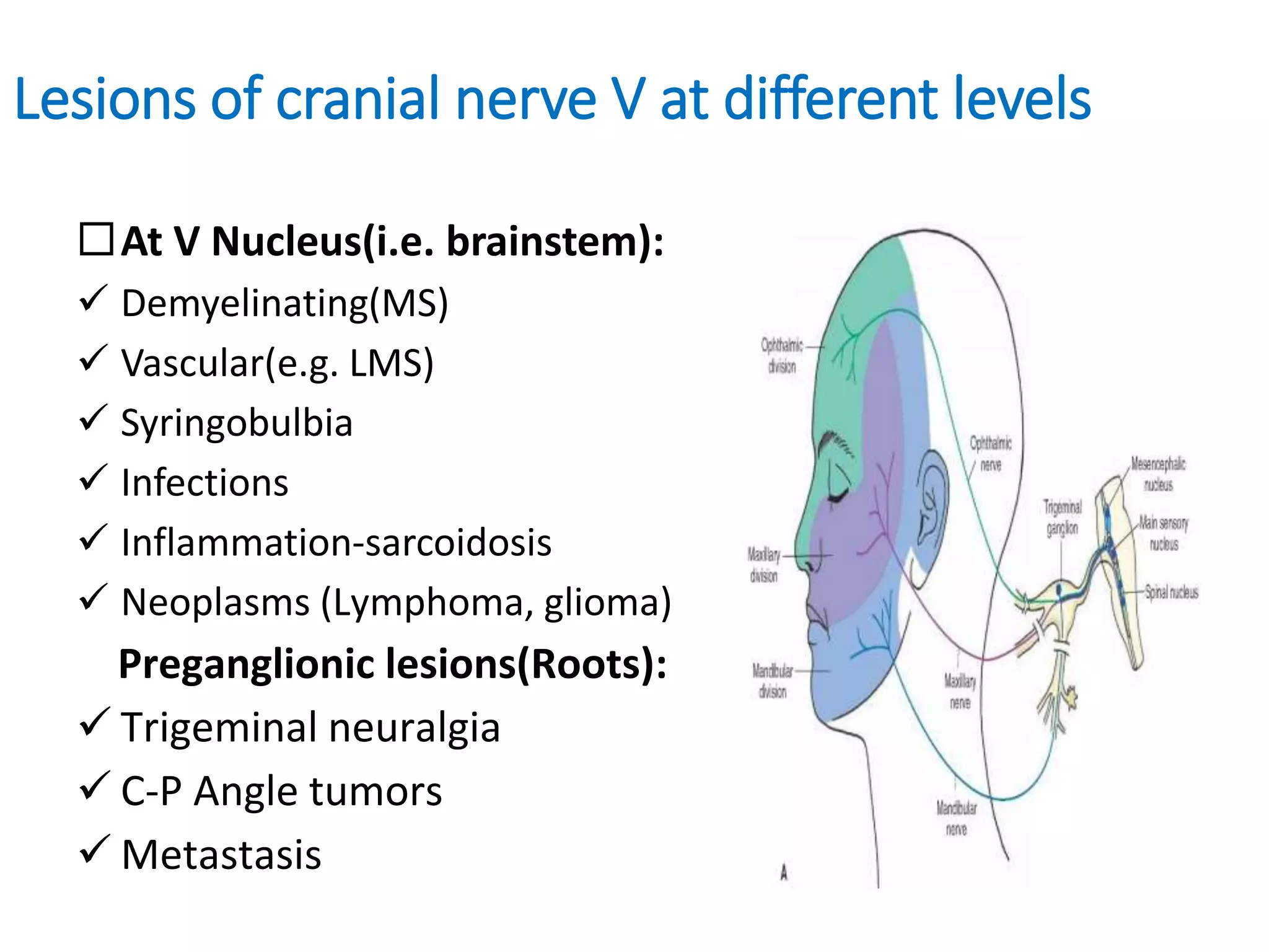 Cranial Nerves 5,7,8.ppt