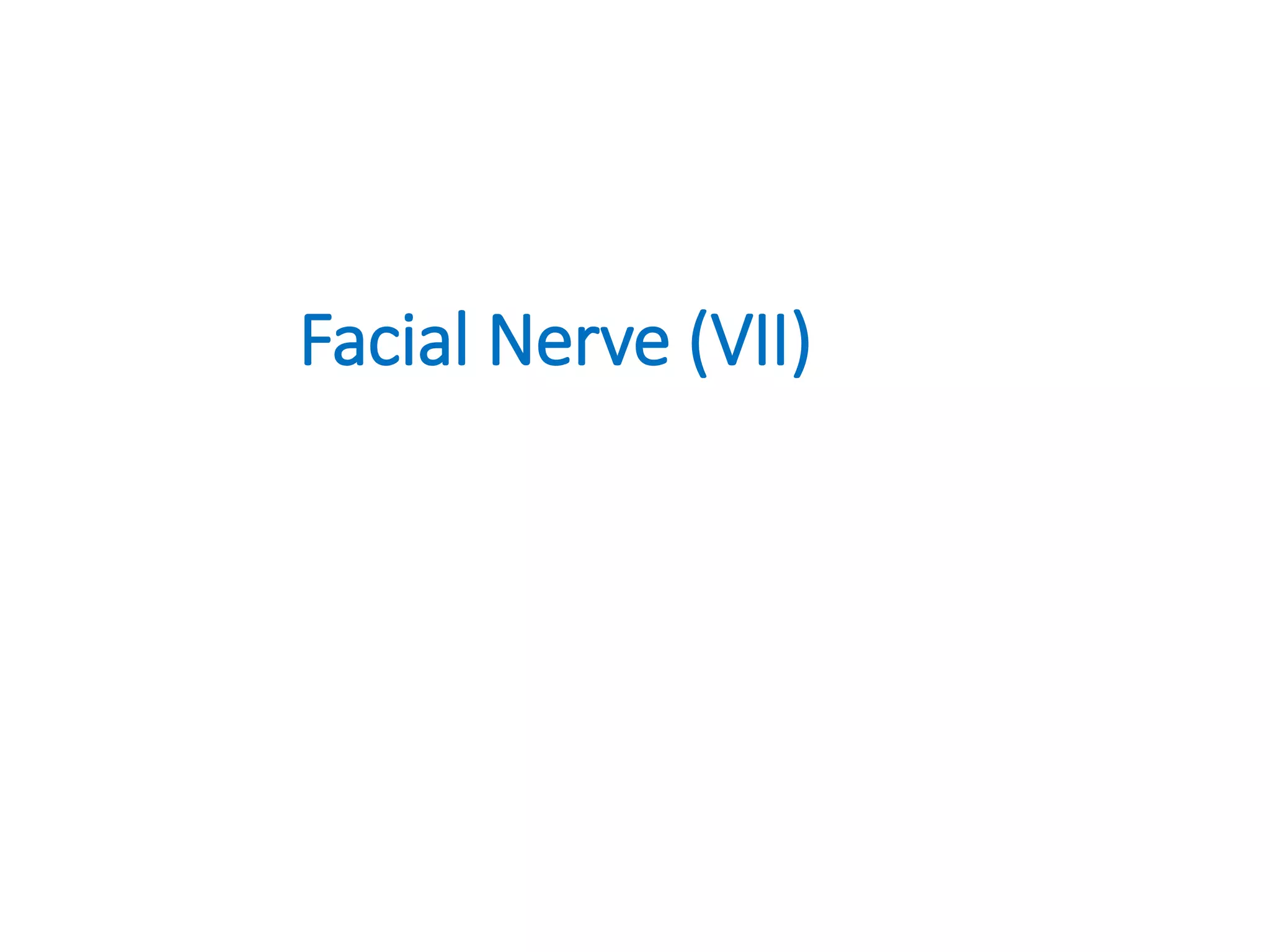 Cranial Nerves 5,7,8.ppt