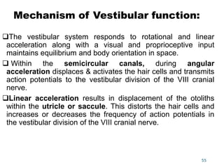 Cranial Nerves 5,7,8.ppt