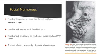 Cranial nerves - trigeminal and vestibulocochlear nerves | PPT