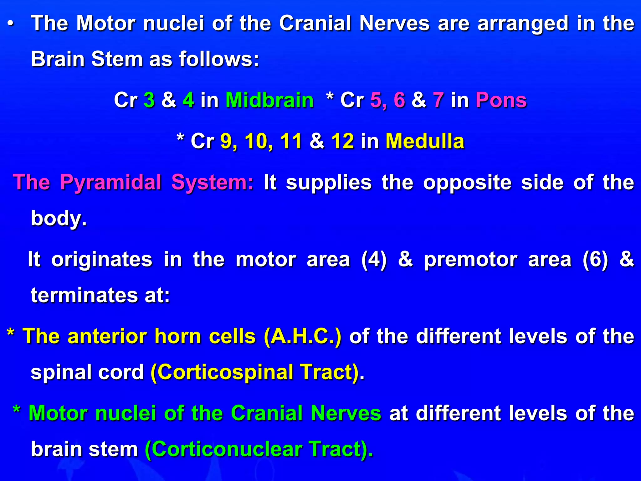 Bulbar Cranial nerves (9-10-11-12) - bulbar palsy - Walid Reda Ashour ...