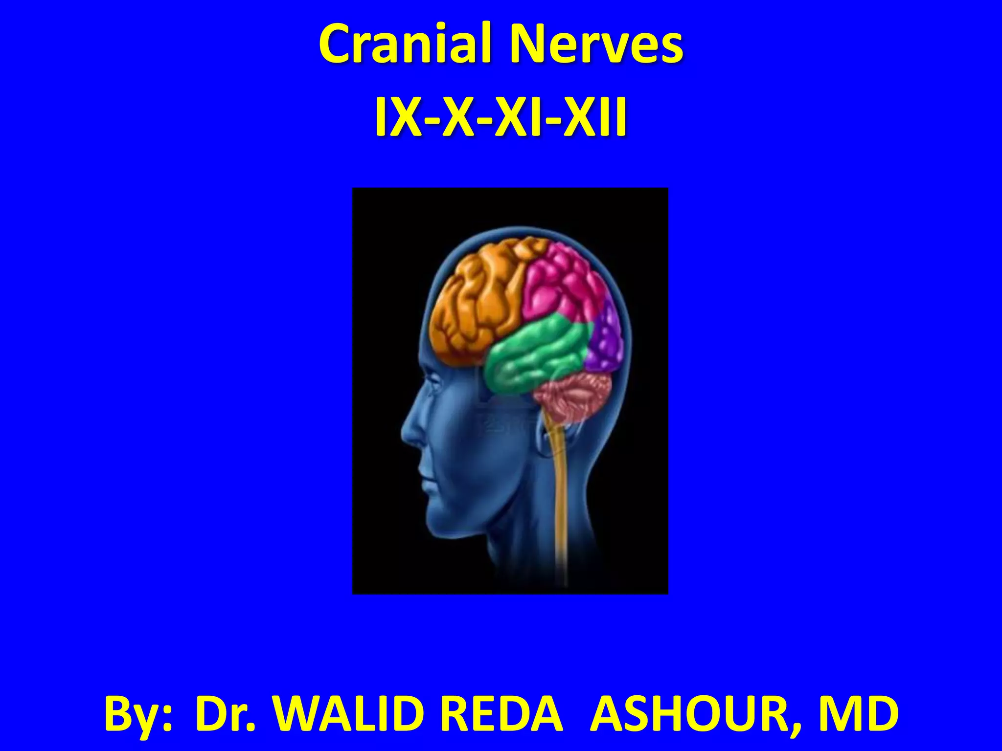 Bulbar Cranial nerves (9-10-11-12) - bulbar palsy - Walid Reda Ashour ...