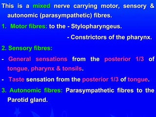 Bulbar Cranial nerves (9-10-11-12) - bulbar palsy - Walid Reda Ashour ...