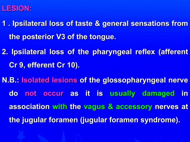 Bulbar Cranial nerves (9-10-11-12) - bulbar palsy - Walid Reda Ashour ...