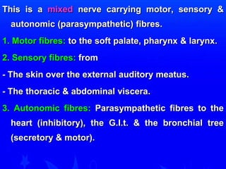 Bulbar Cranial nerves (9-10-11-12) - bulbar palsy - Walid Reda Ashour ...